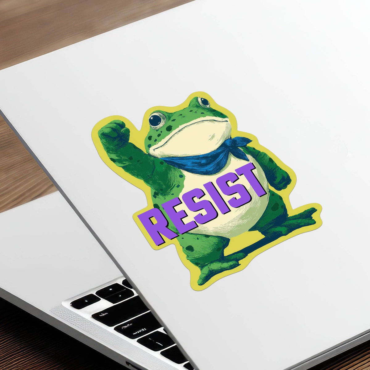 Frog Resist - Social Justice Protest Sticker for Activists Toad – Neel ...