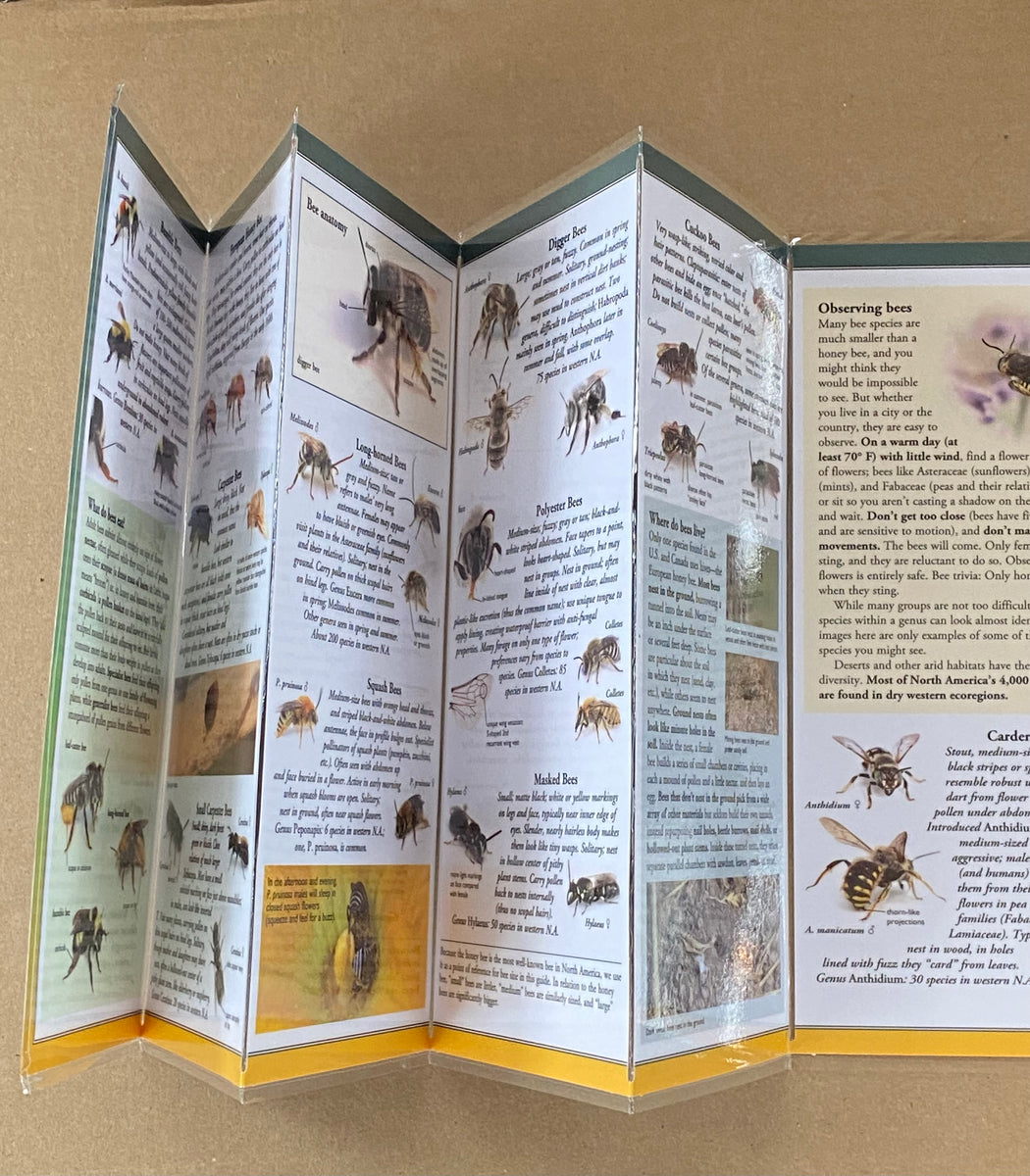 Folding Pocket Guide – Neel's Nursery