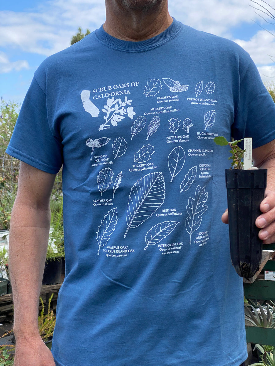 Scrub Oak Tree T-shirts by Fred Roberts – Neel's Nursery